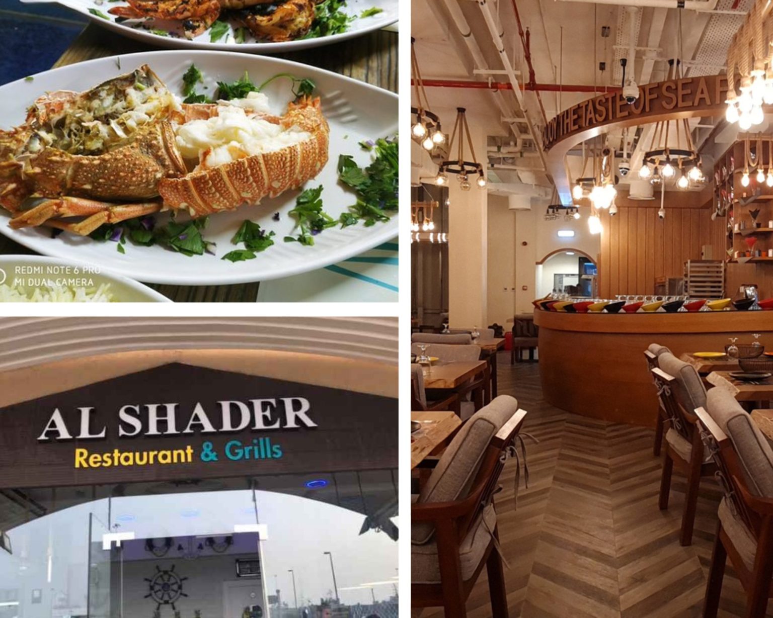 From Shrimp to Salmon: Best Seafood Restaurants In Abu Dhabi