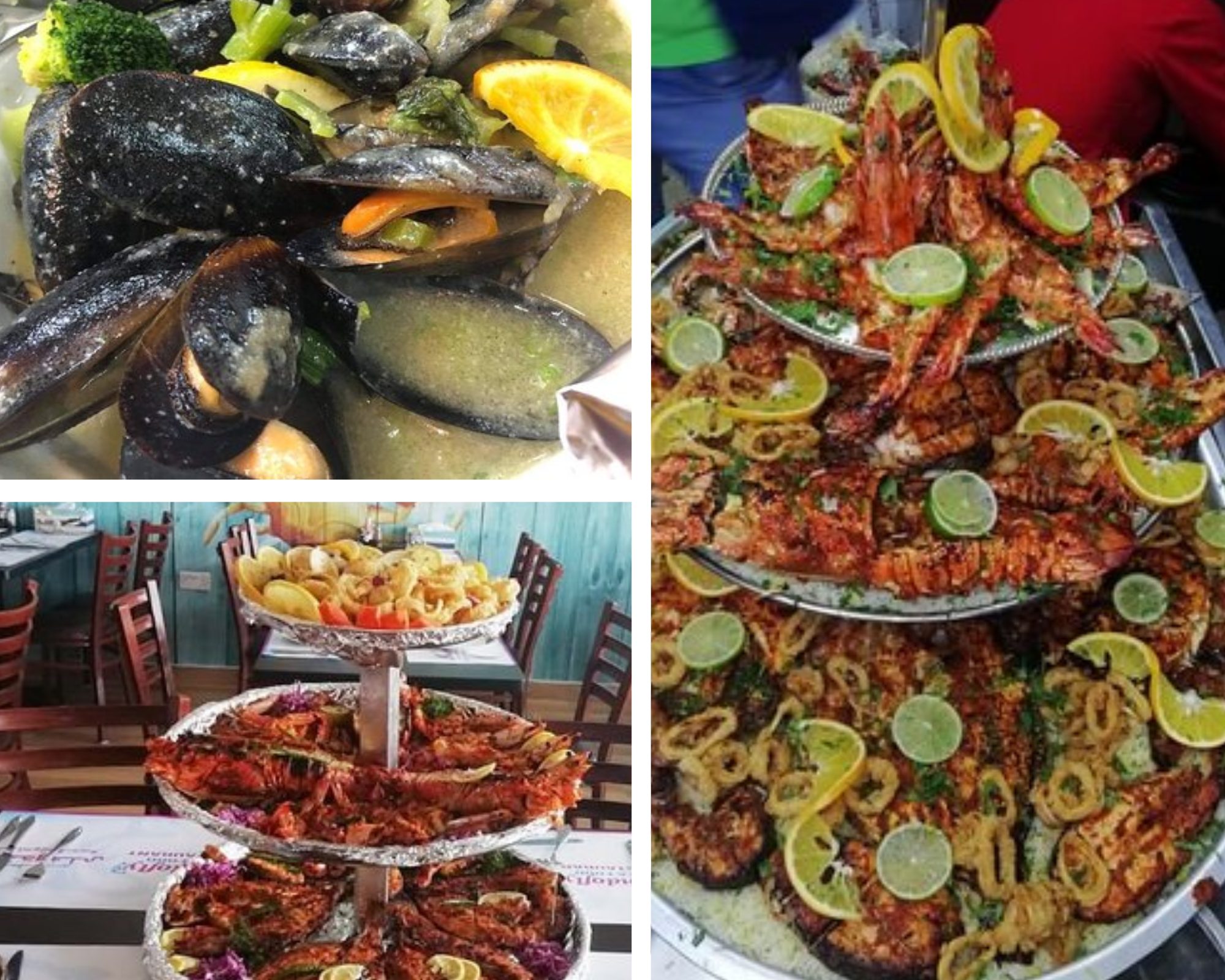 From Shrimp to Salmon: Best Seafood Restaurants In Abu Dhabi