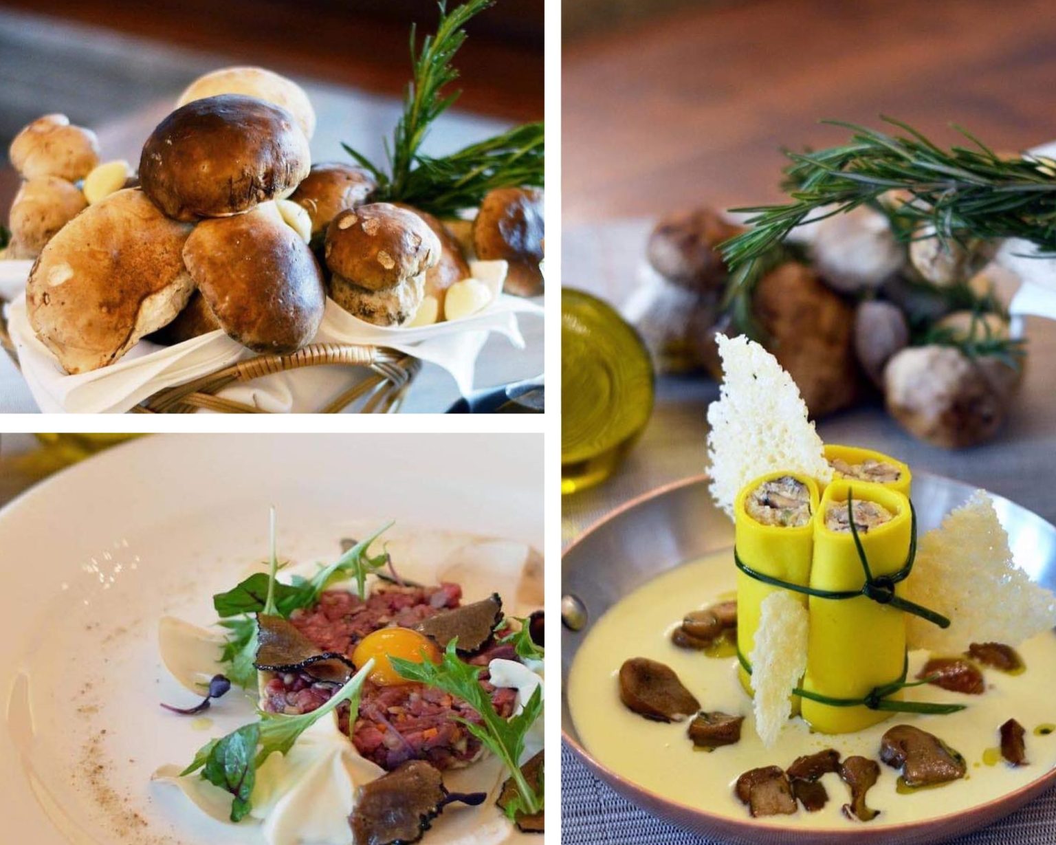 20 Recommended Restaurants On Corniche Abu Dhabi