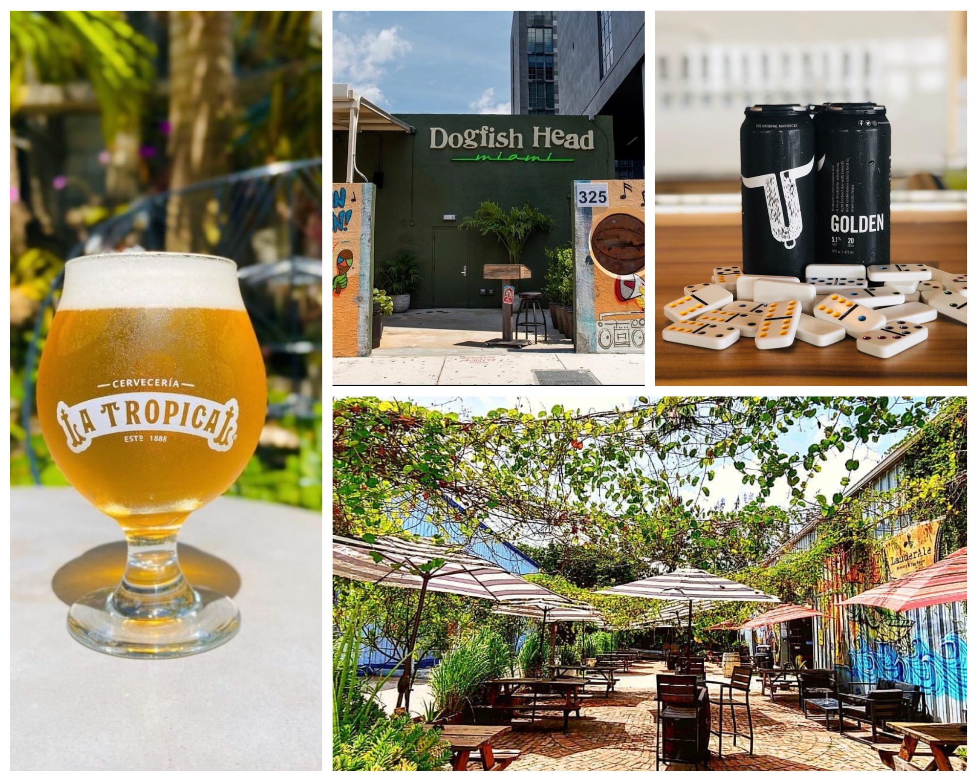 26 Things To Do For Birthday In Miami For When You Are Out Of Ideas