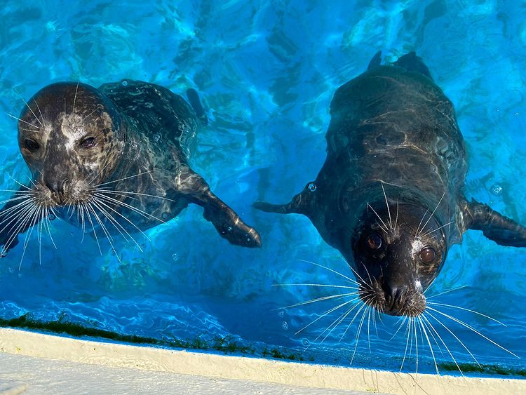 Miami Seaquarium - Families Meet The Ocean Life