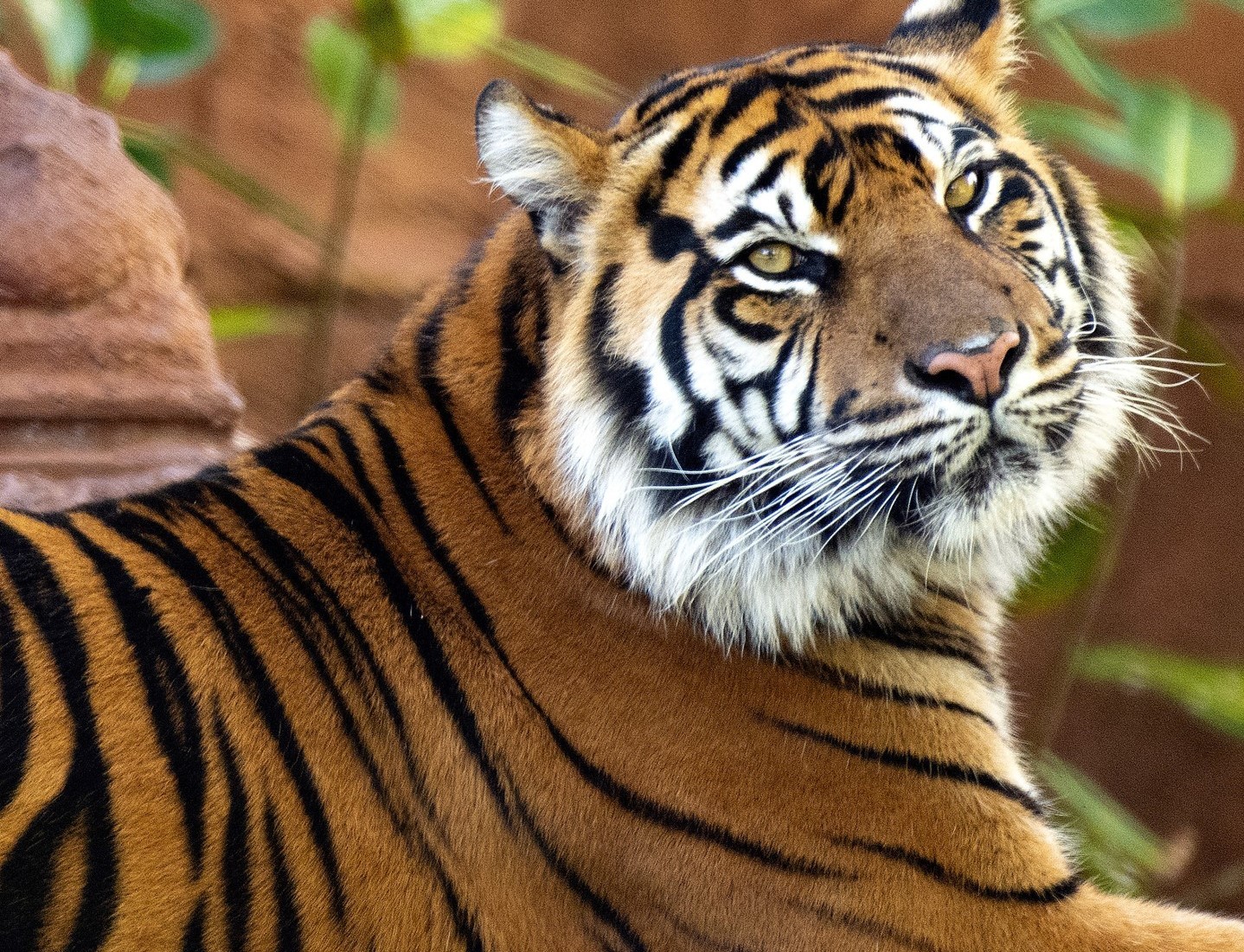 Everyone’s Favorite: Zoo Miami