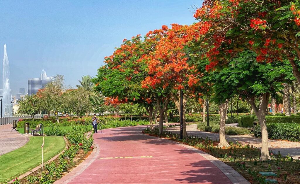 Al Barsha Pond Park | Travel Taste Discover