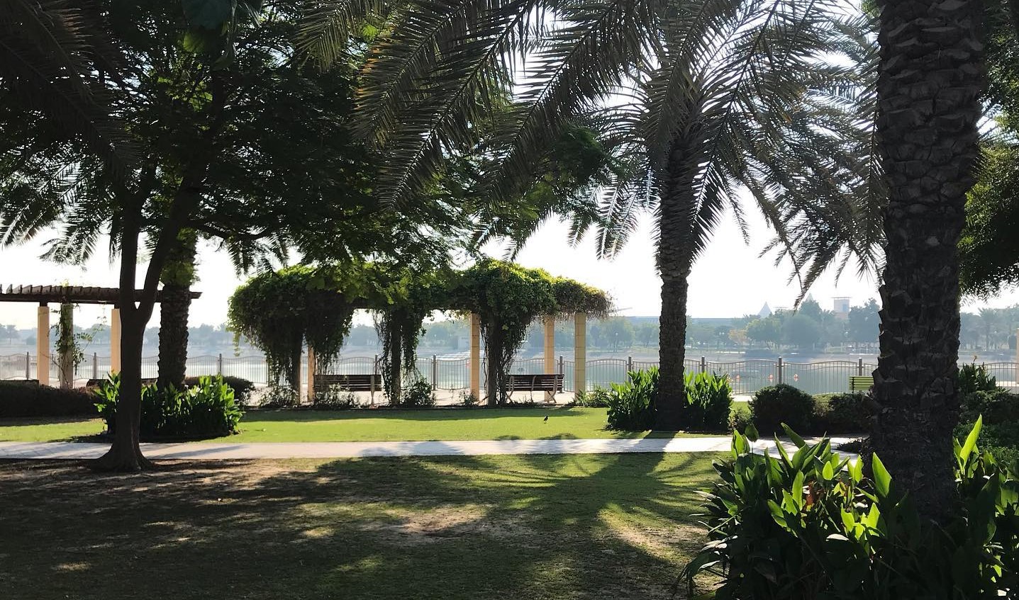 Al Barsha Pond Park | Travel Taste Discover