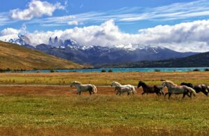 25 Summer Destinations That Are Surprisingly Cool in July